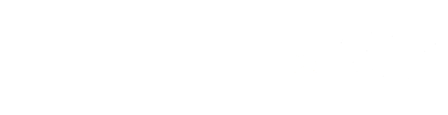 All Star Officials – All Star Officials